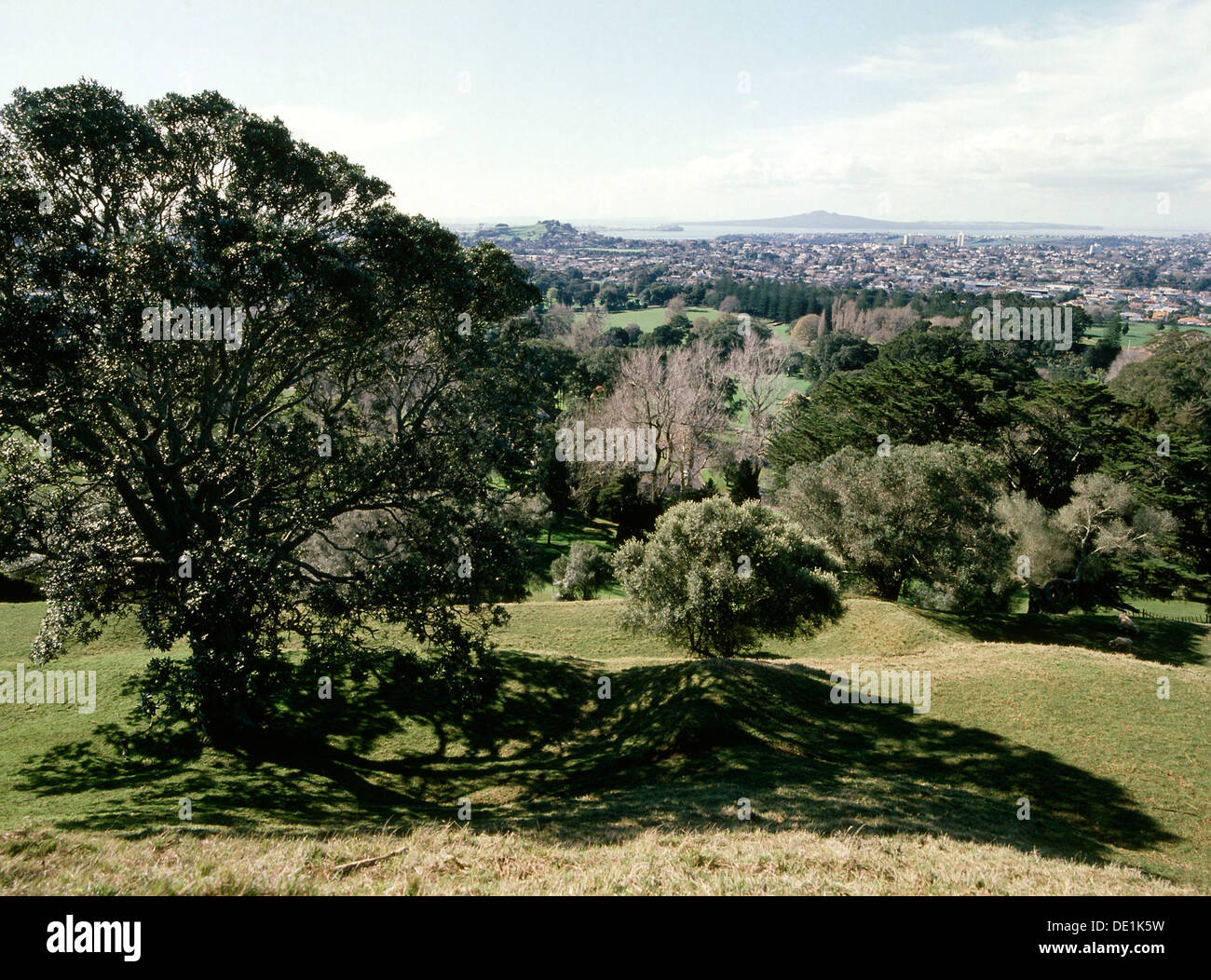 Auckland park hi-res stock photography and images - Alamy
