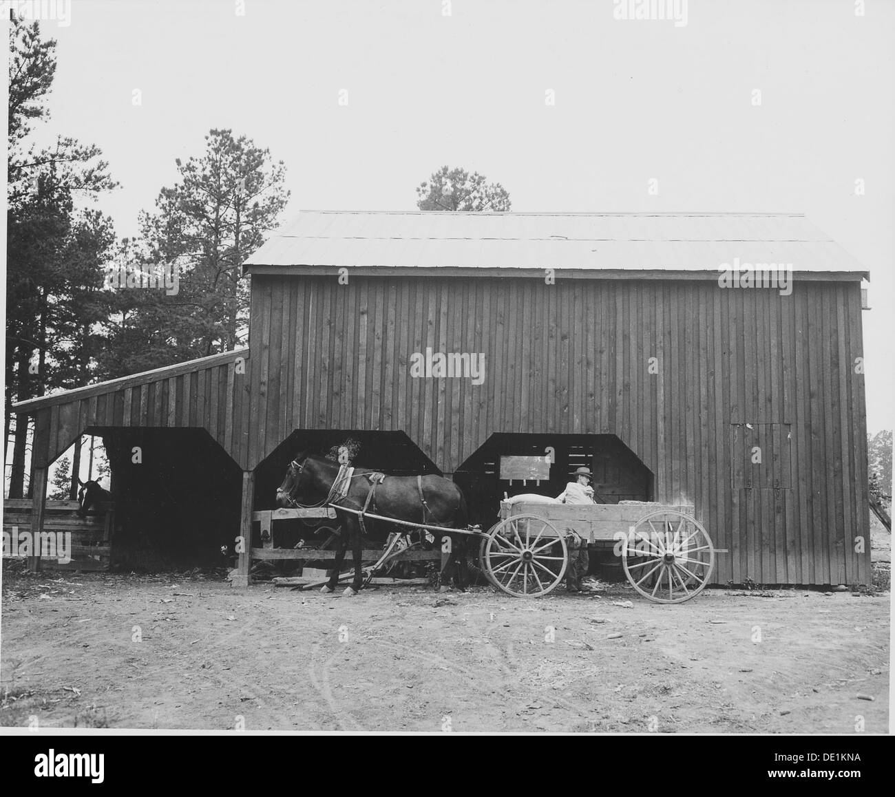 Briar Patch High Resolution Stock Photography and Images - Alamy