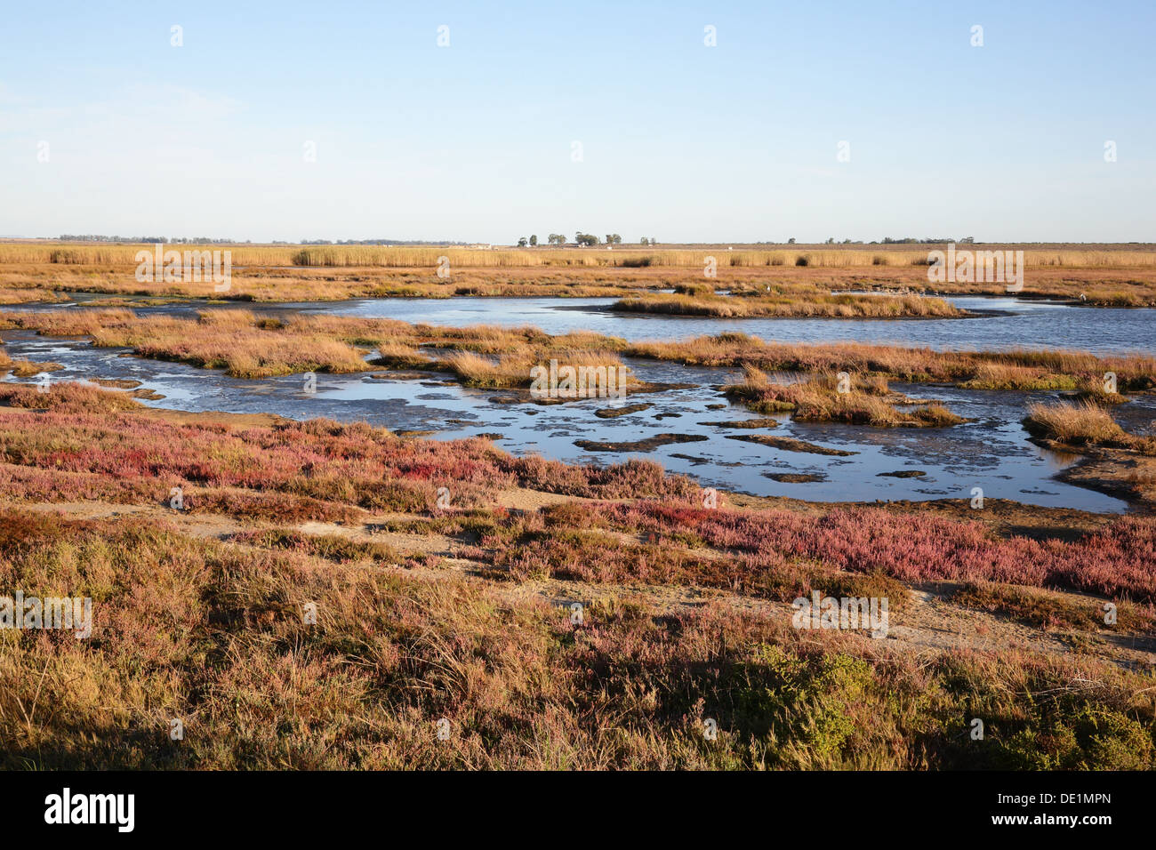 Berg River estuary, Velddrif, Western Cape Province, South Africa Stock ...