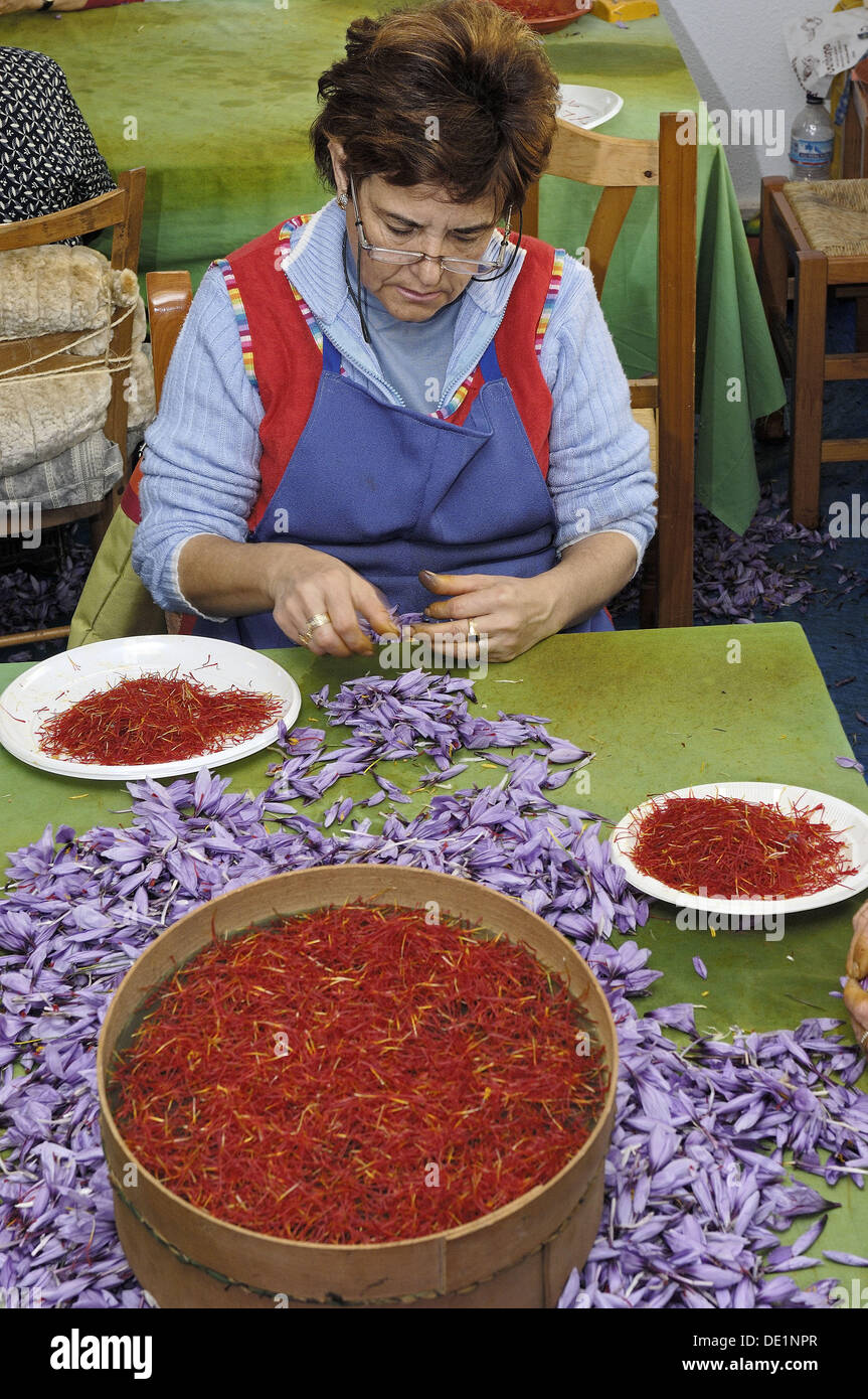 Saffron stigma hi-res stock photography and images - Alamy