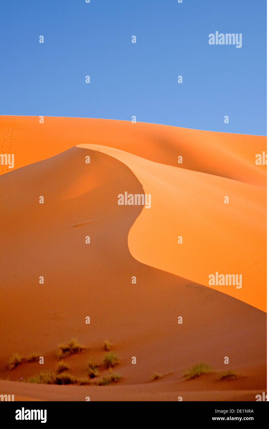 geography / travel, Morocco, erg Chebbi, oasis Merzouga in the South ...
