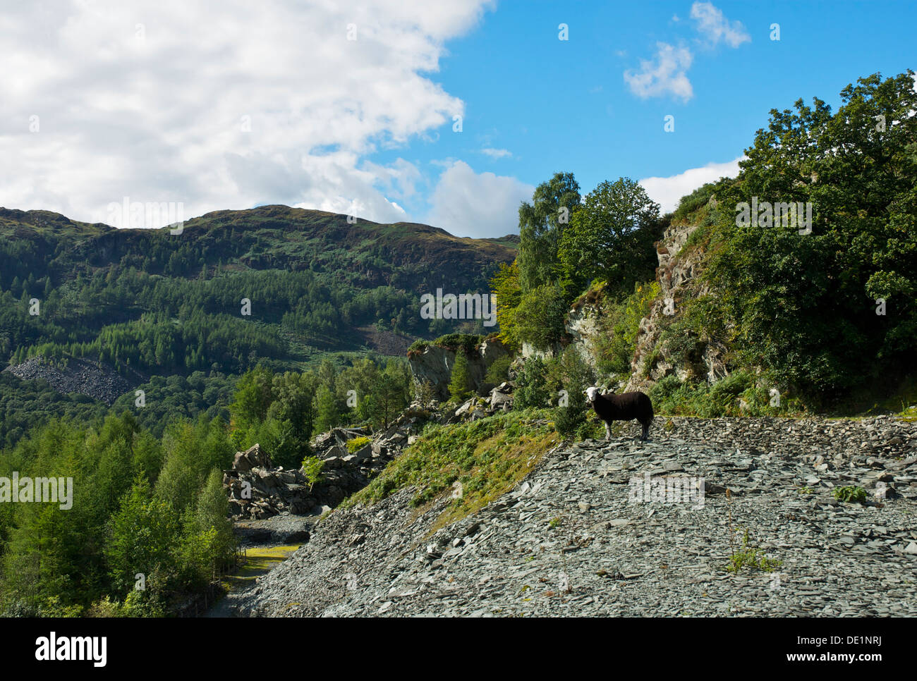 Old slate quarry above the village of Chapel Stile, Langdale, Lake ...