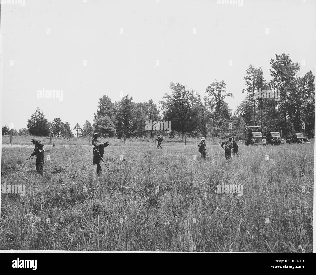 African-American CCC boys work on a farm in Harmony Community, Putnam ...