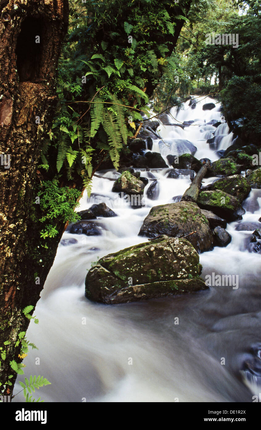 Valley of toluca hi-res stock photography and images - Alamy