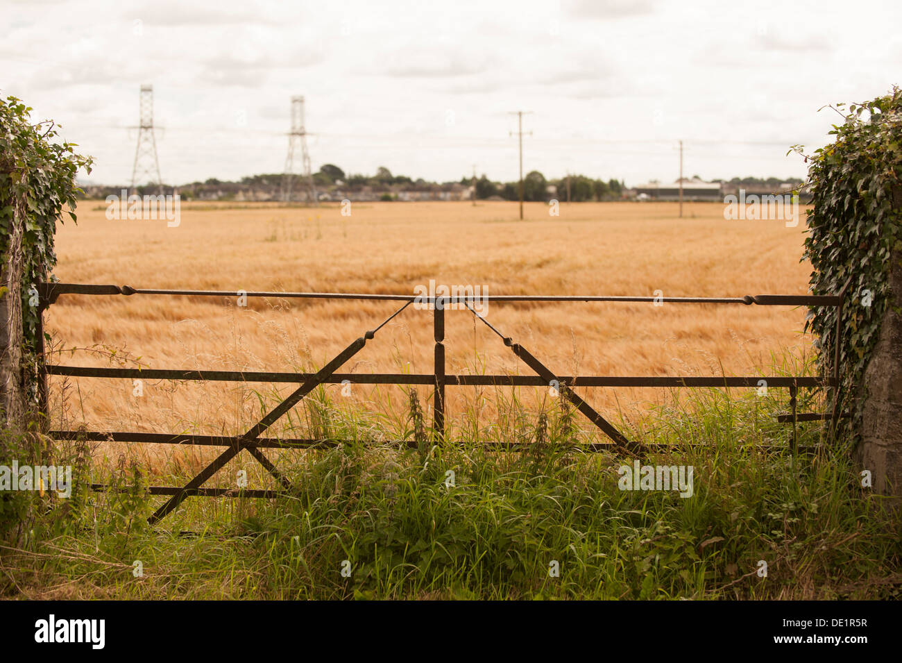 Old gate on farmland hi-res stock photography and images - Alamy