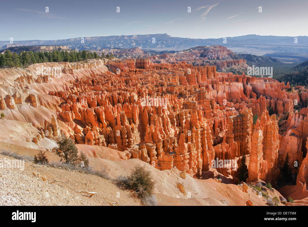 Hoodoos and surrounding rim, Bryce Canyon, Utah, USA Stock Photo - Alamy