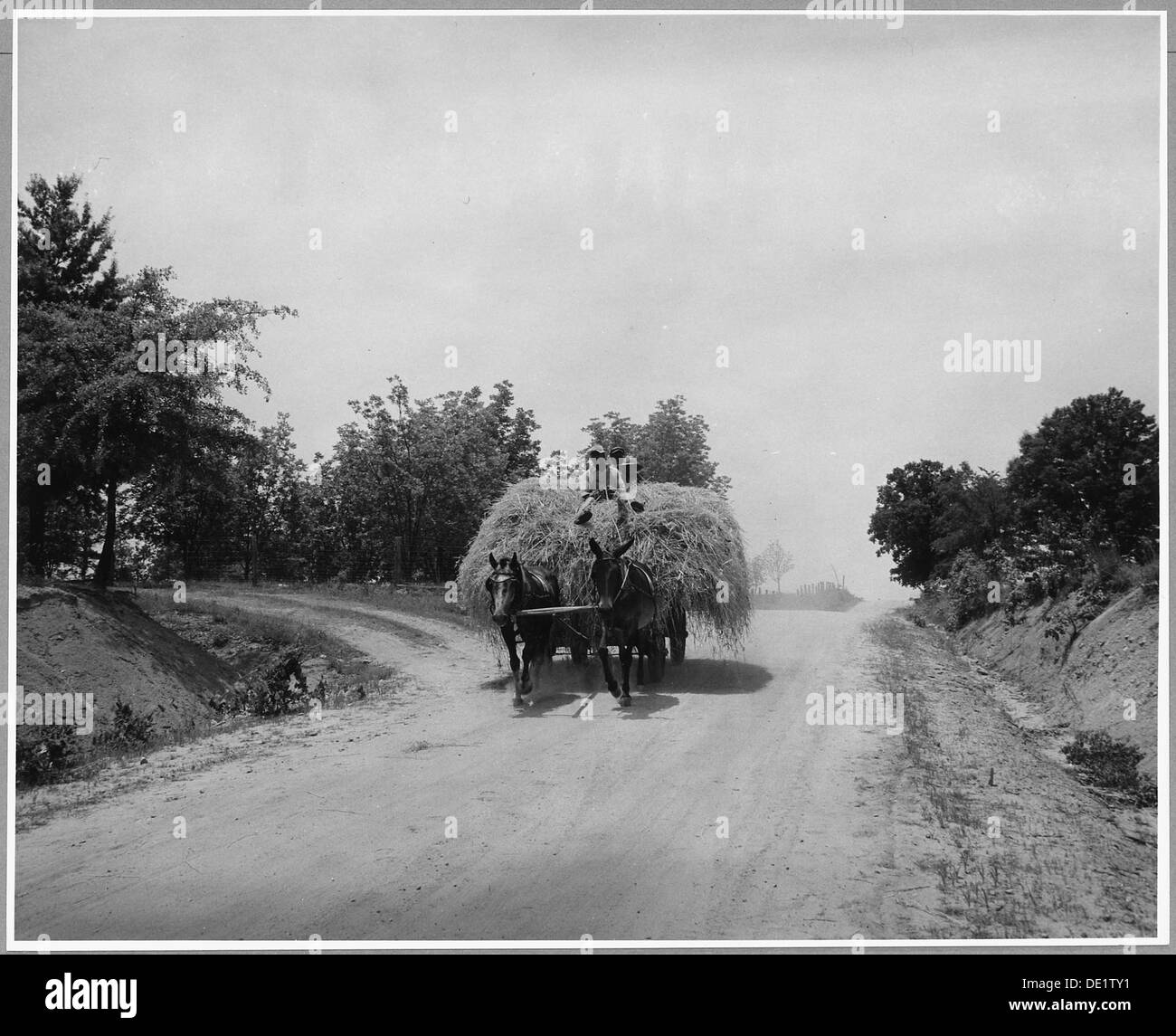 Hay load hi-res stock photography and images - Alamy