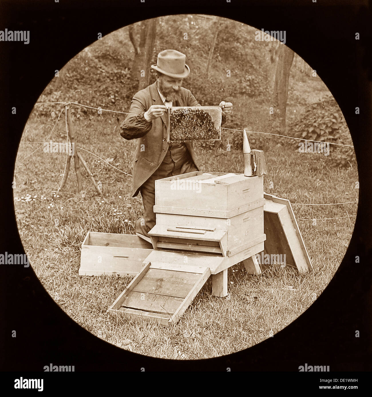 Vintage bee hive hi-res stock photography and images - Alamy