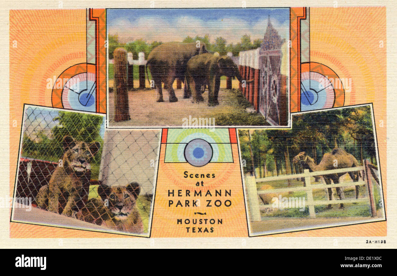 'Scenes at Hermann Park Zoo, Houston, Texas', USA, postcard, 1932 ...