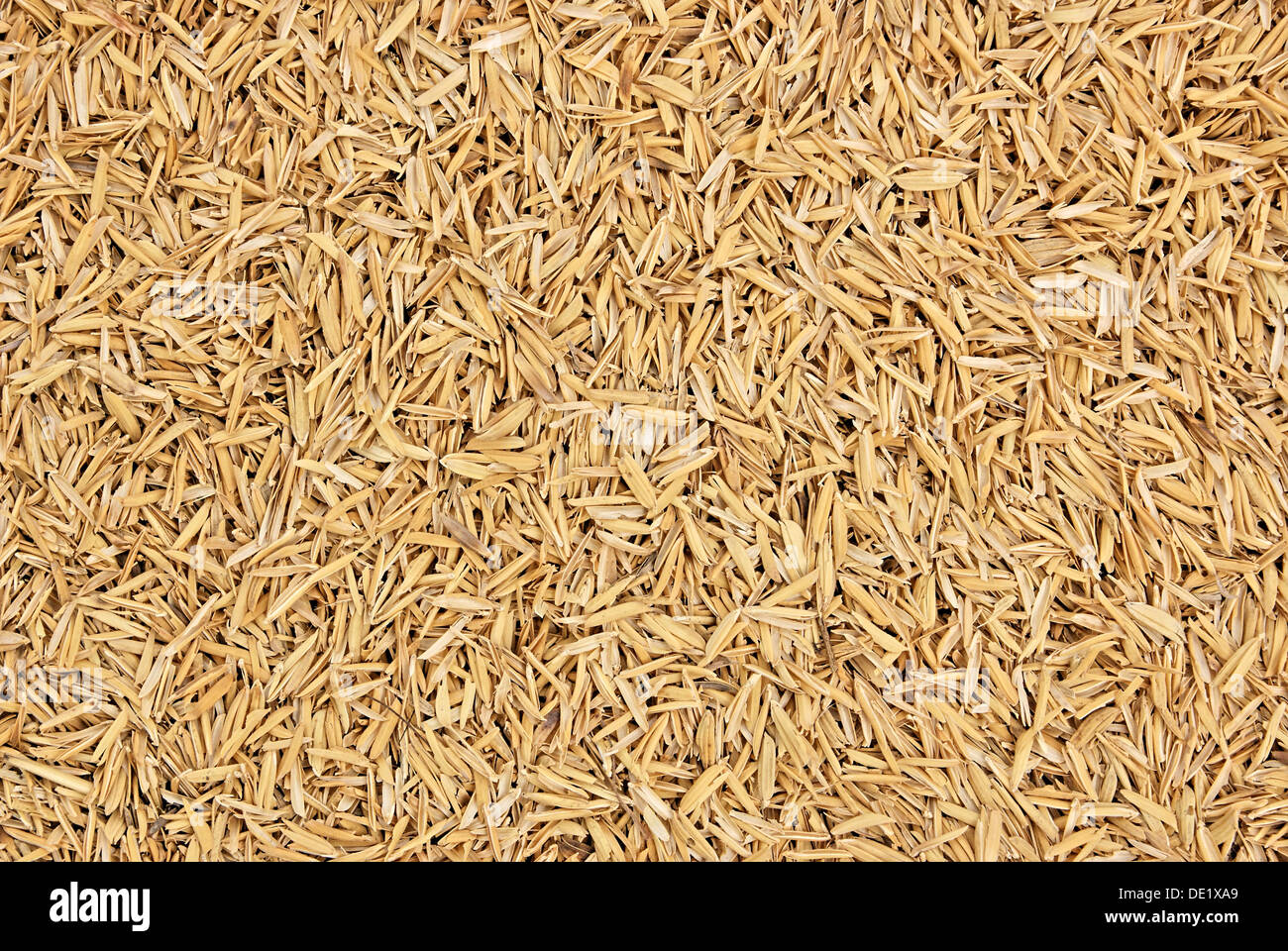 Detail of rice husks texture Stock Photo - Alamy