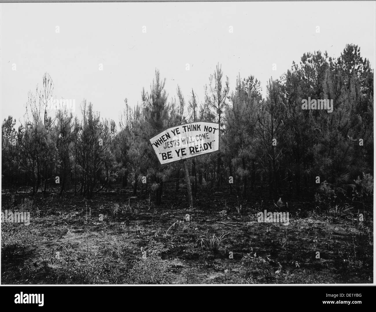In Harmony Community, Putnam County, Georgia, signs like these are ...