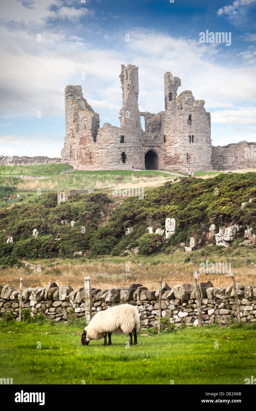 Dunstanburgh Castle, Craster, Northumberland, England, UK, GB Stock ...