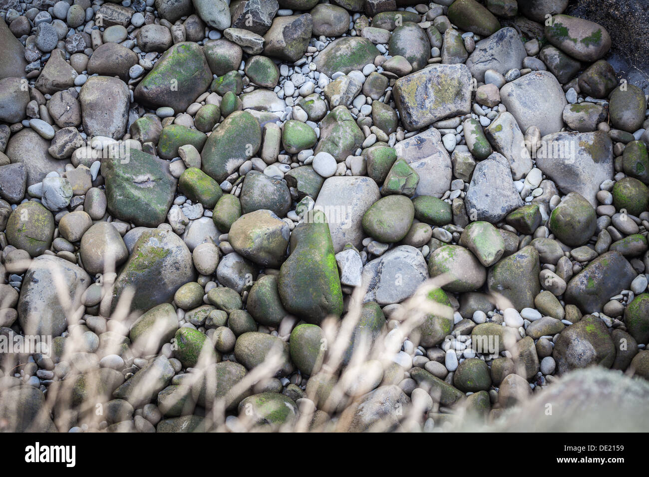 Beach rocks on the Northumbrian coast. England. UK. GB Stock Photo - Alamy