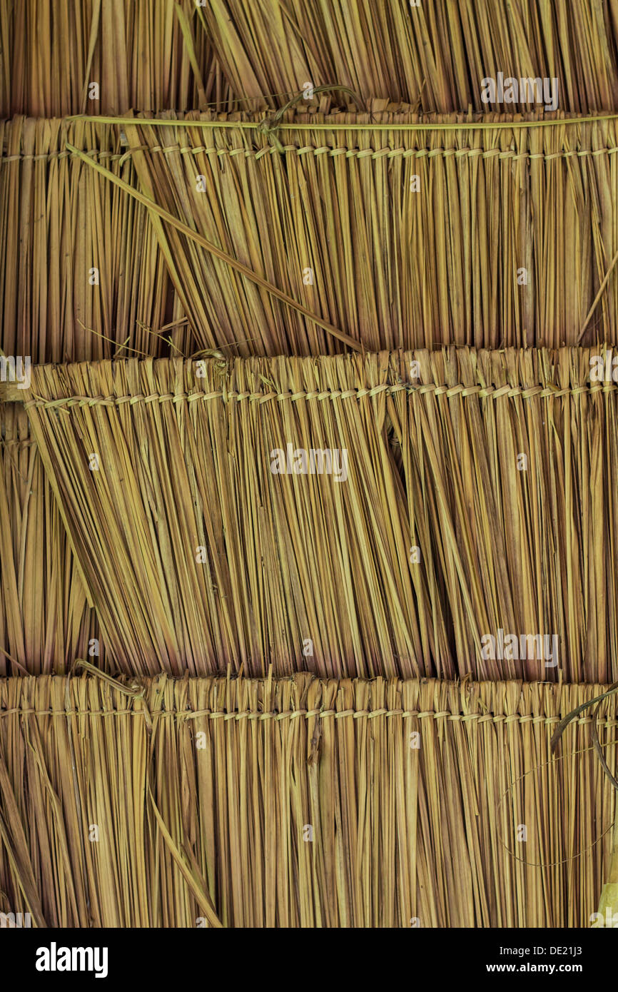 Straw background hi-res stock photography and images - Alamy