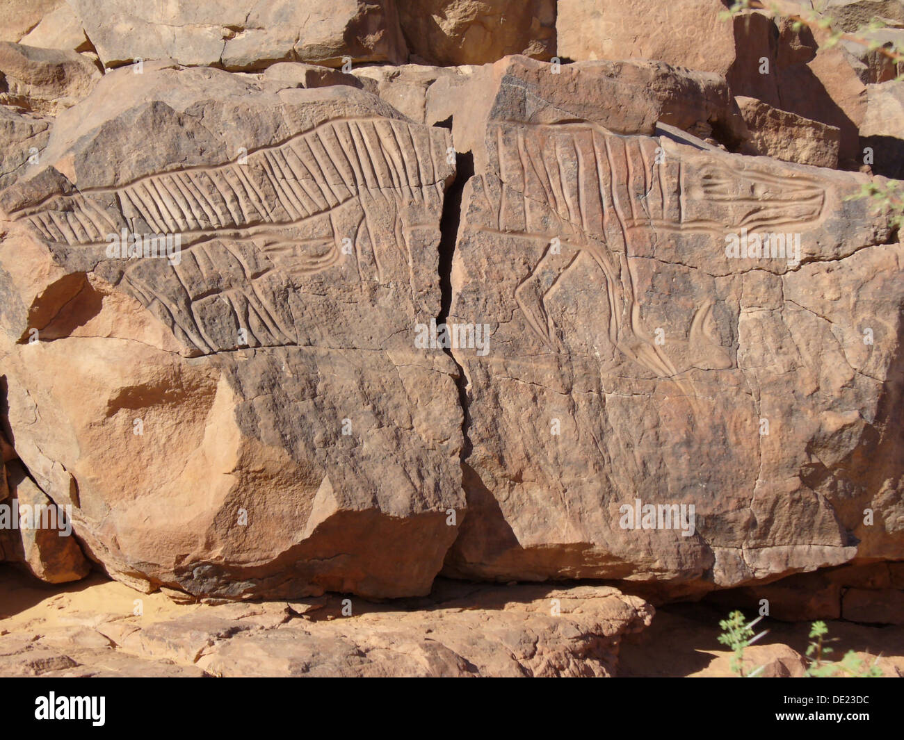 Prehistoric Hunter Gatherers High Resolution Stock Photography and ...