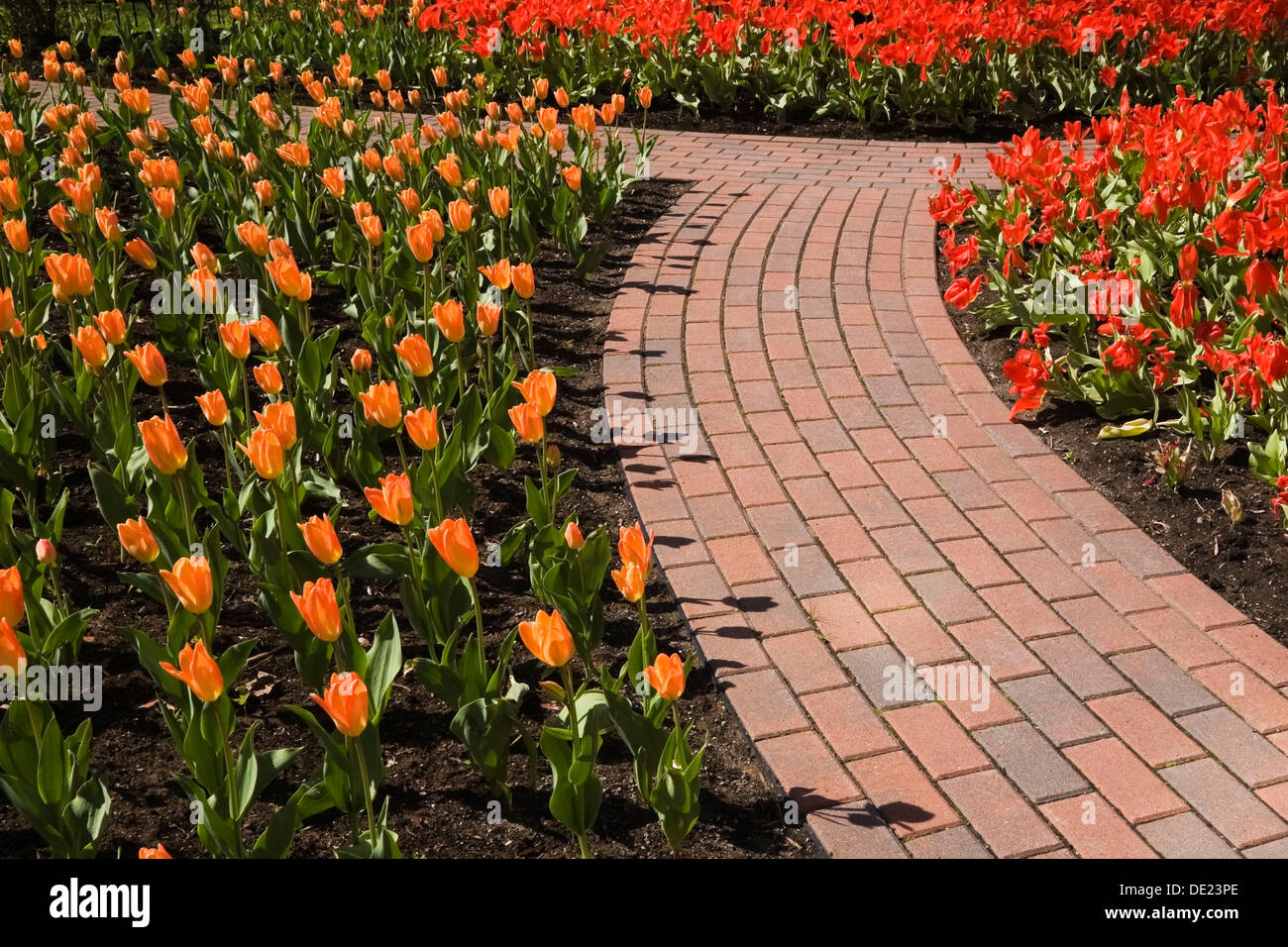 Brick paths hi-res stock photography and images - Alamy