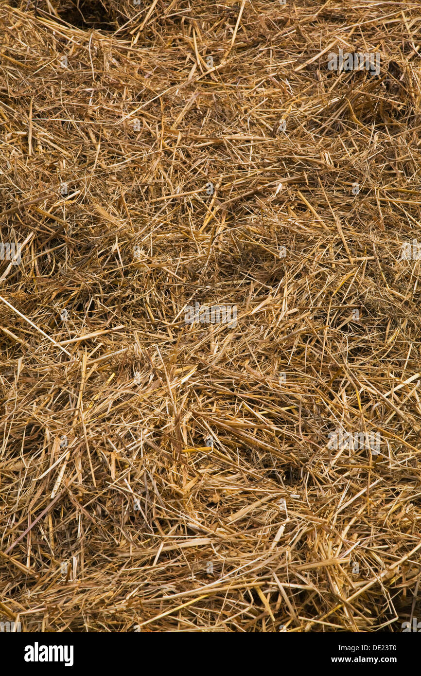 Pile Of Hay High Resolution Stock Photography and Images - Alamy