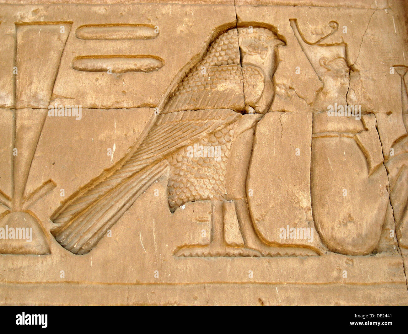 Sacred falcon hi-res stock photography and images - Alamy