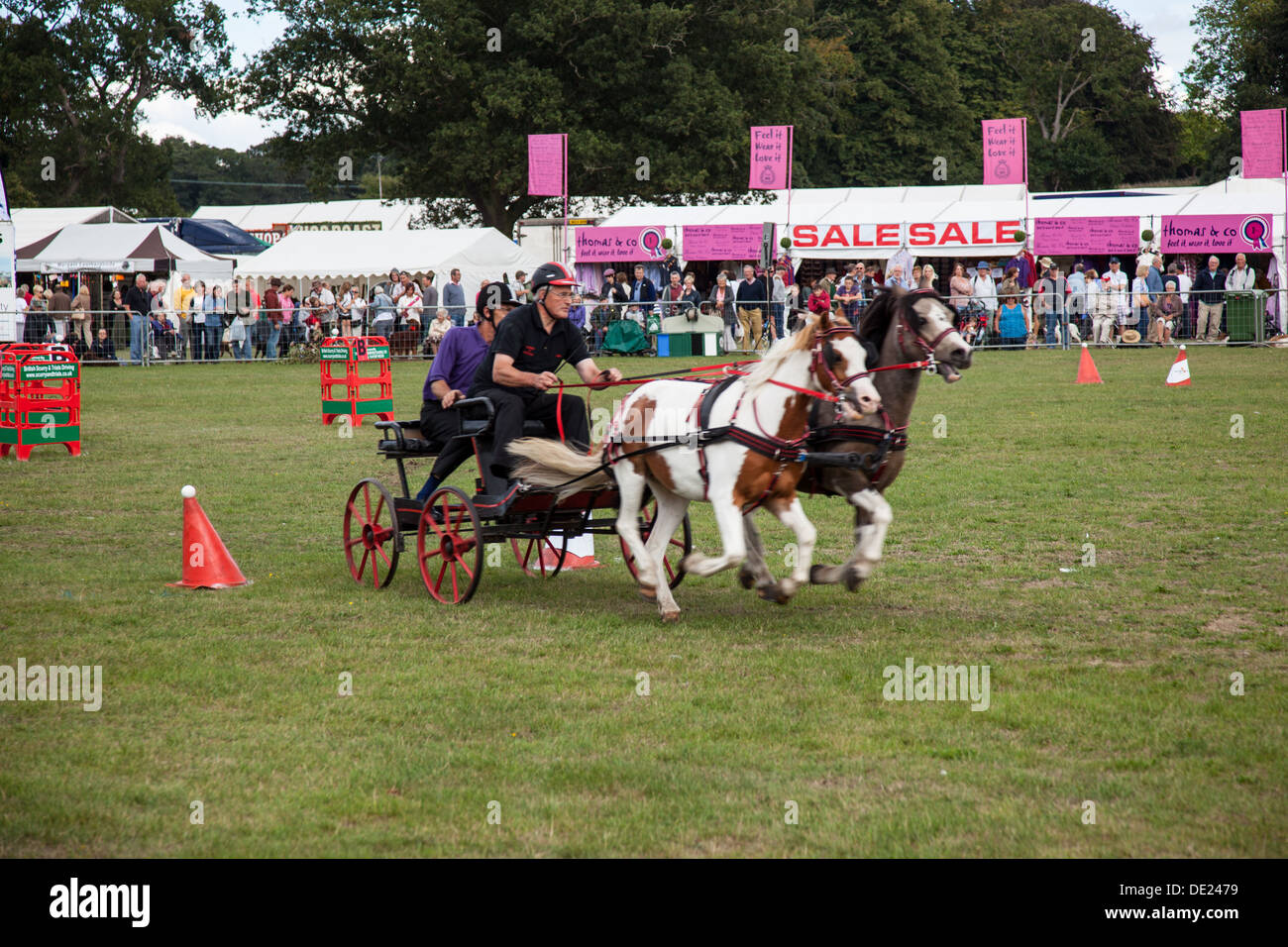Horse and cart racing at the Sandringham Game and Country Fair ...