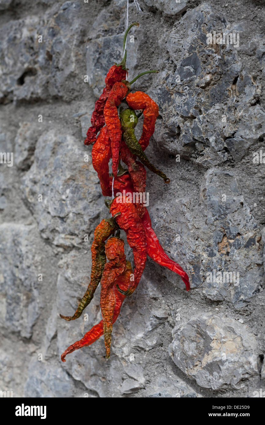 Chili peppers hanging to dry Stock Photo - Alamy