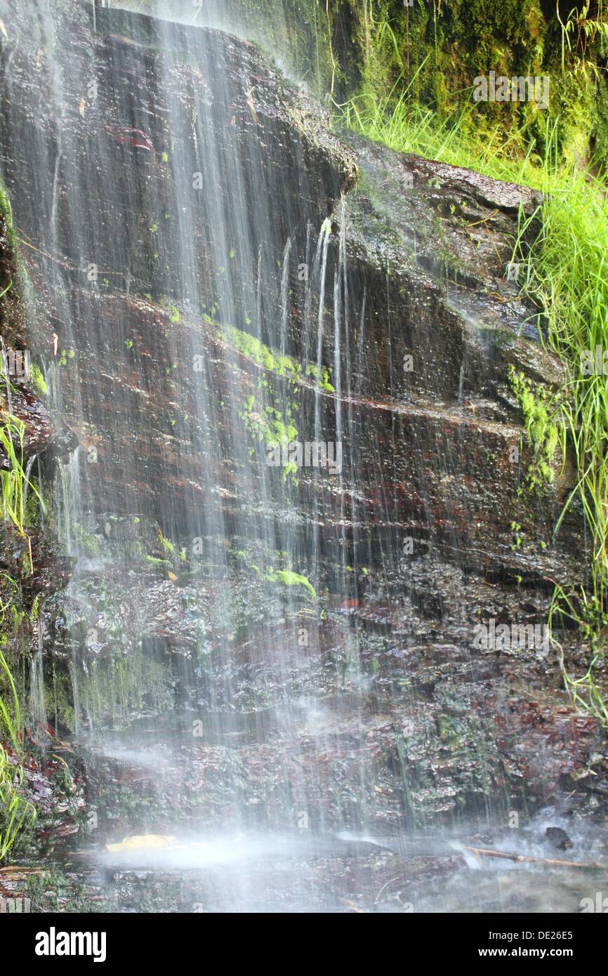 El ávila national park hi-res stock photography and images - Alamy