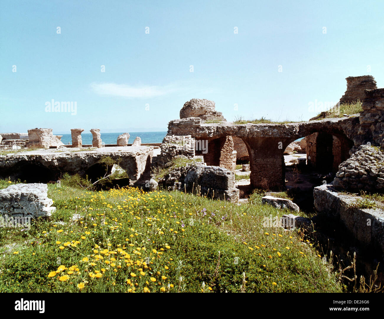 Roman phoenicia hi-res stock photography and images - Alamy
