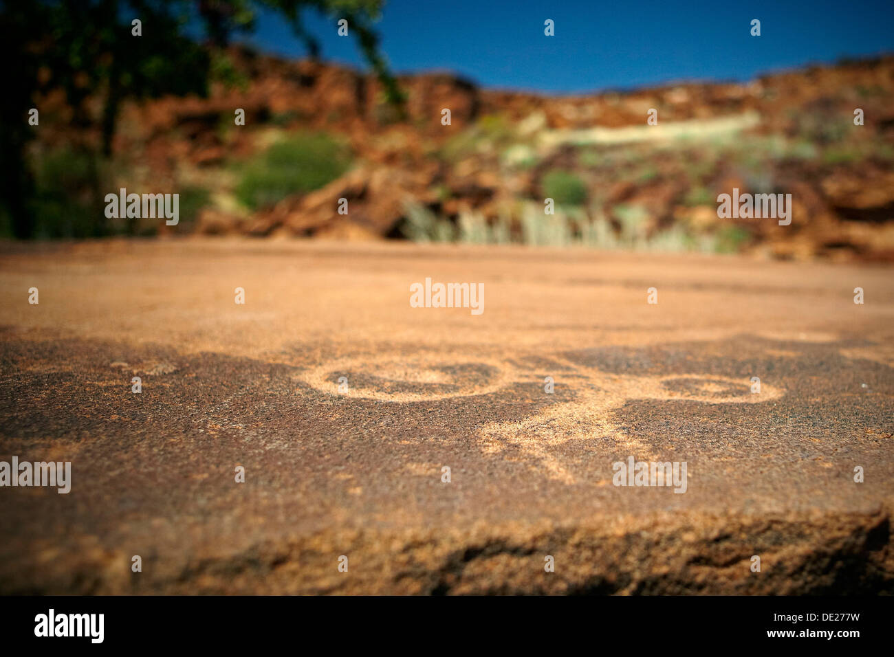 Rock carvings, petroglyphs, rock art, Twyfelfontein, Damaraland ...