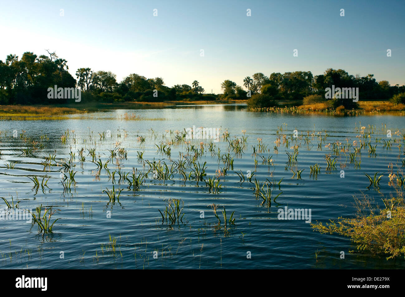 Botswana scenery hi-res stock photography and images - Alamy