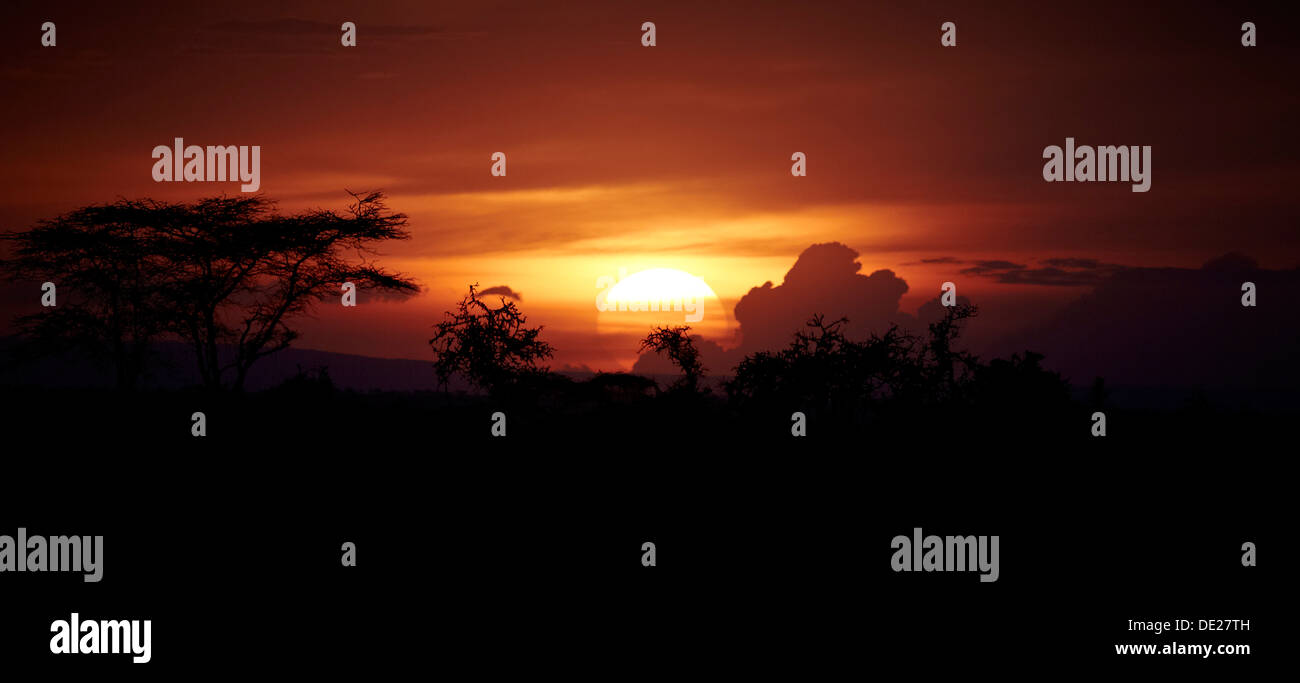 Sunset, Serengeti, Tanzania, Africa Stock Photo - Alamy