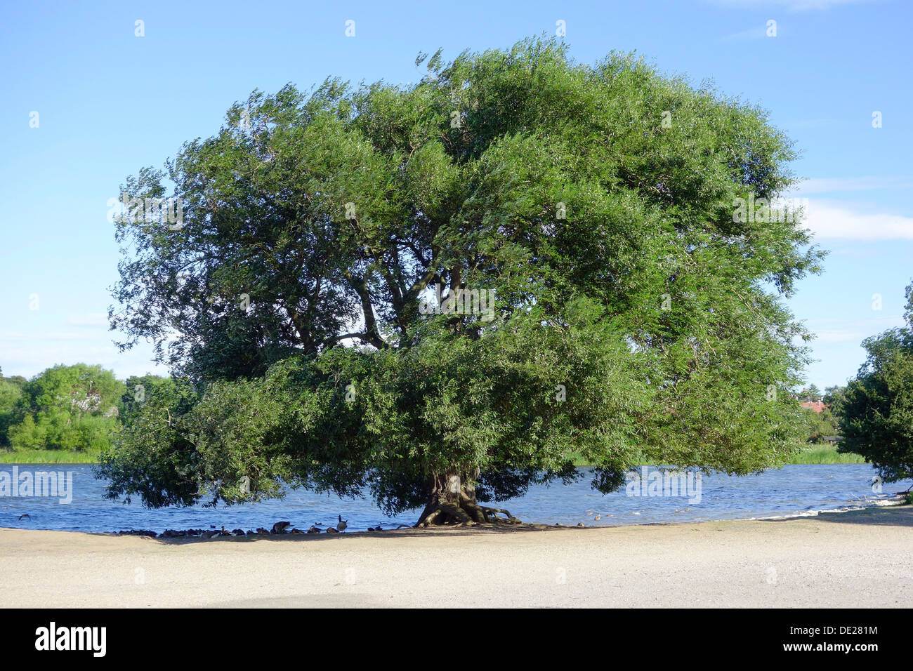 Hornsea mere hi-res stock photography and images - Alamy