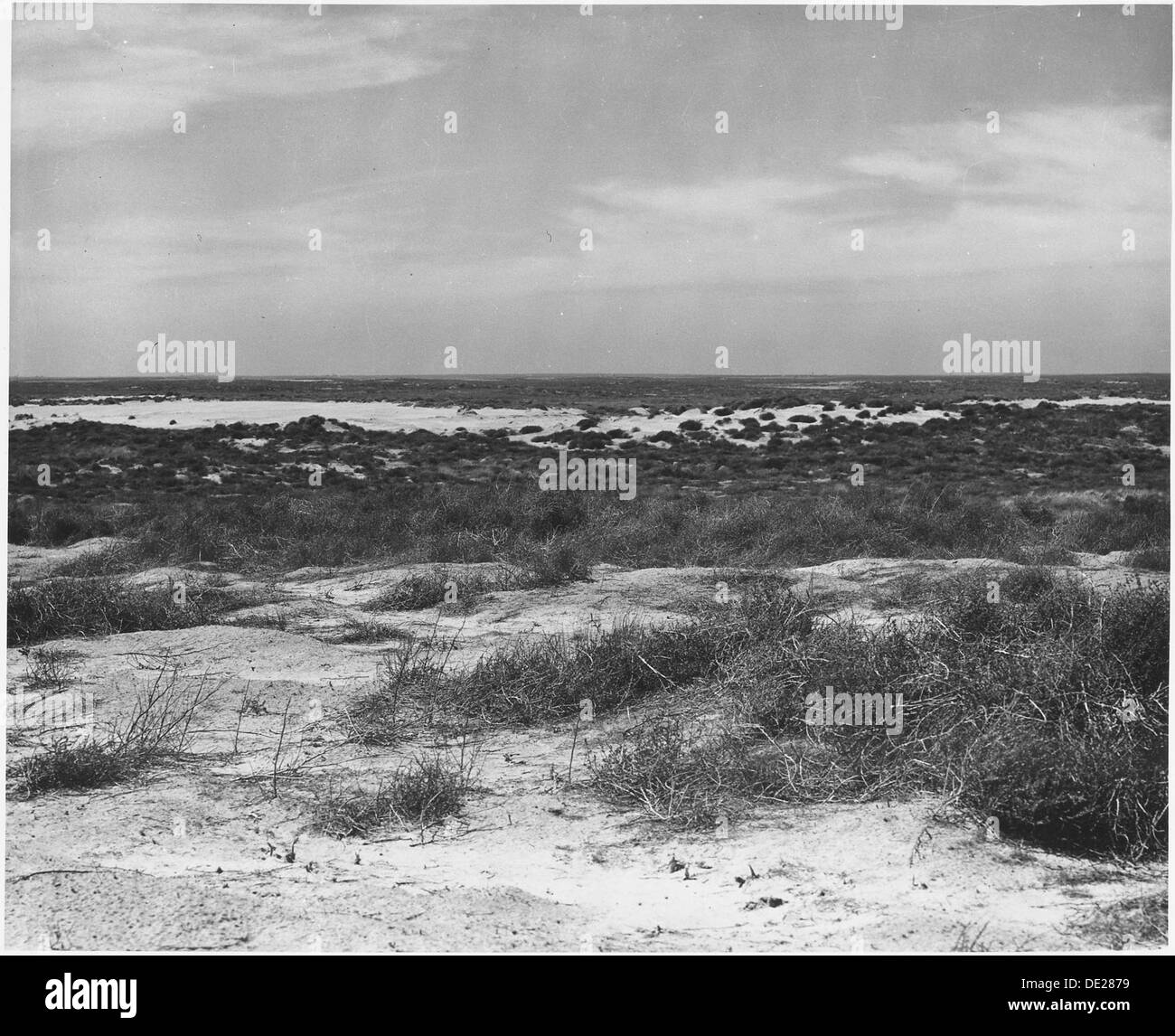 Agricultural landscape hills in Black and White Stock Photos & Images ...