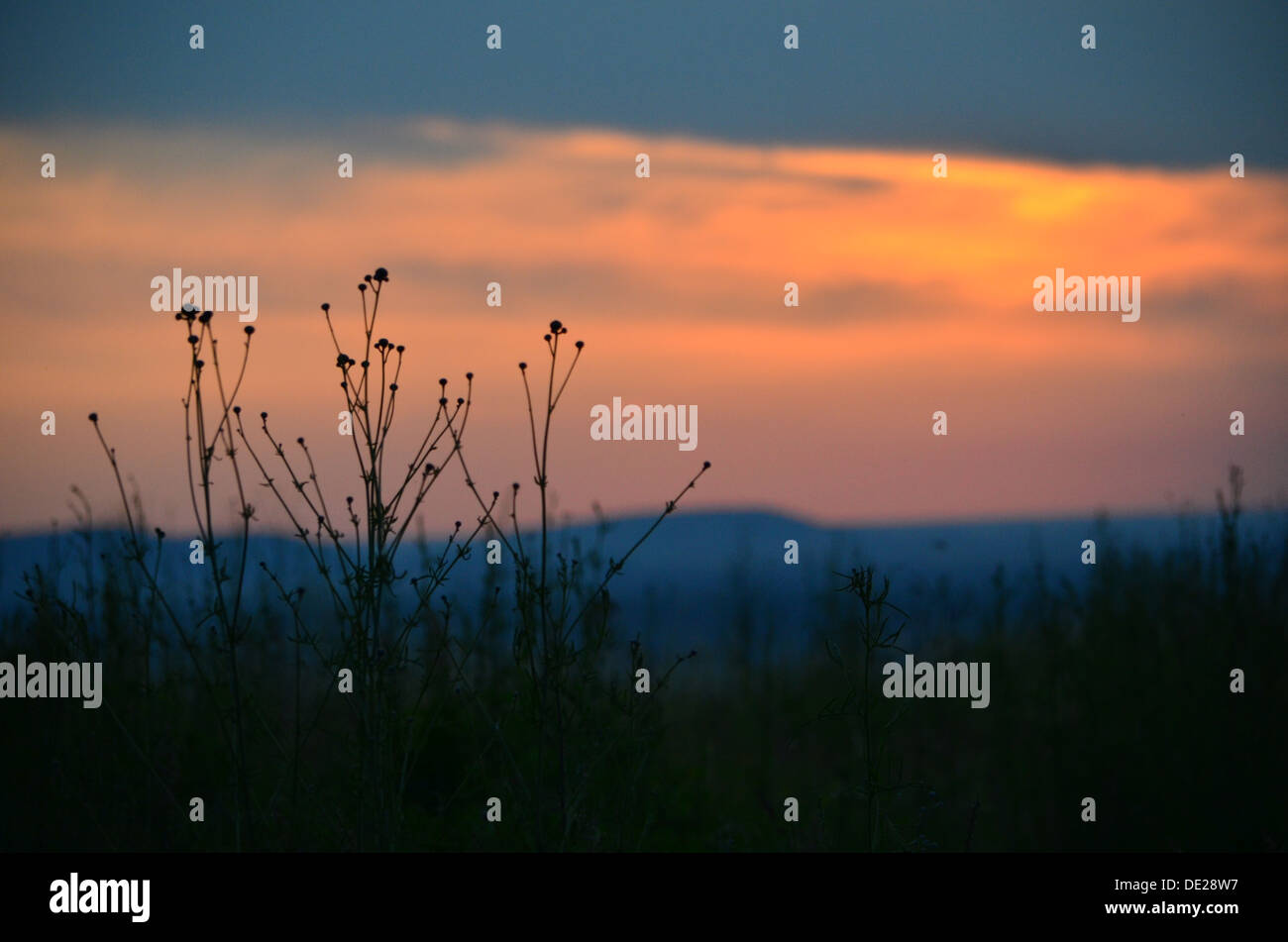 Berehove hi-res stock photography and images - Alamy