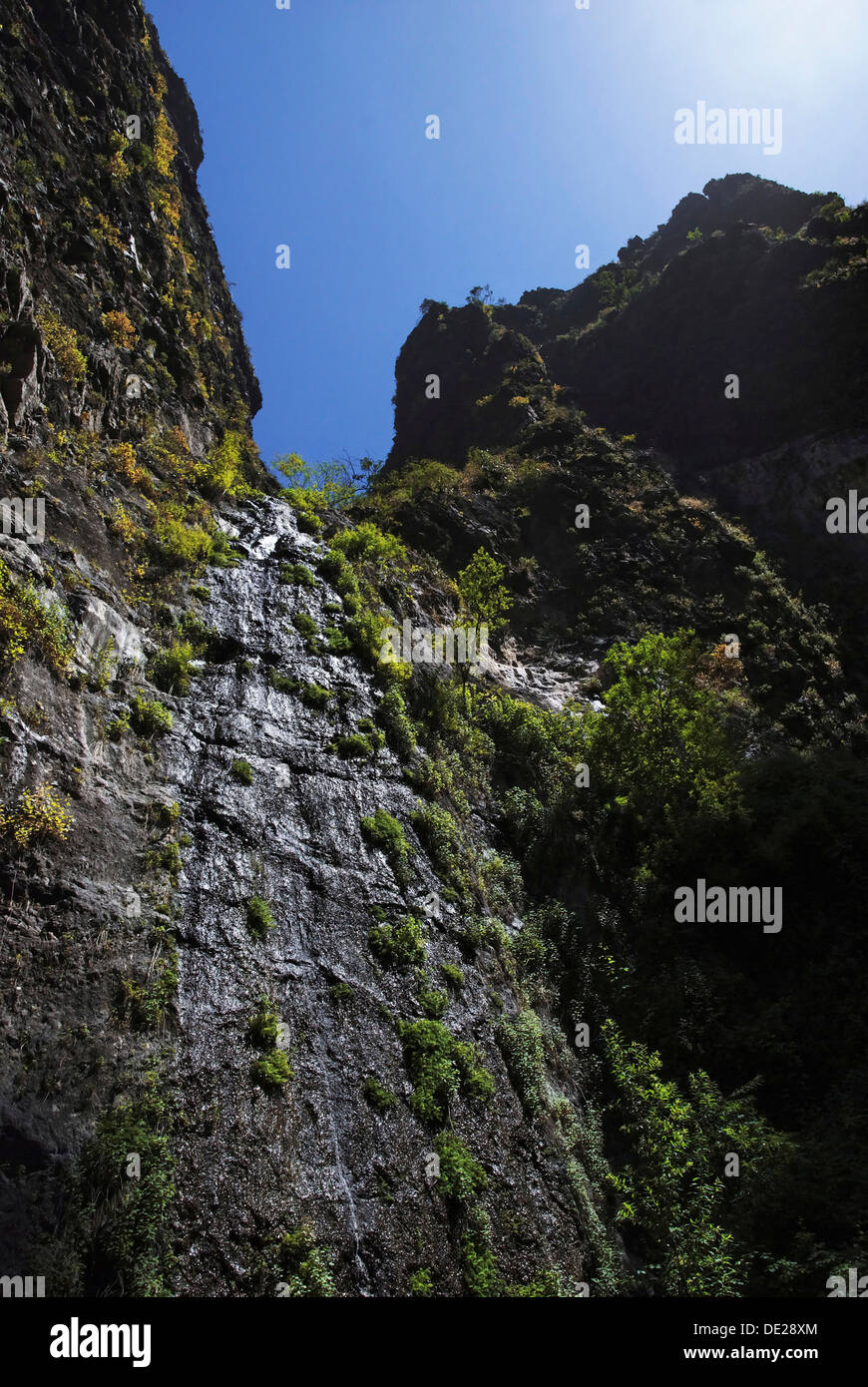 Waterfall in the Barranco del Infierno canyon, Tenerife island, Canary ...