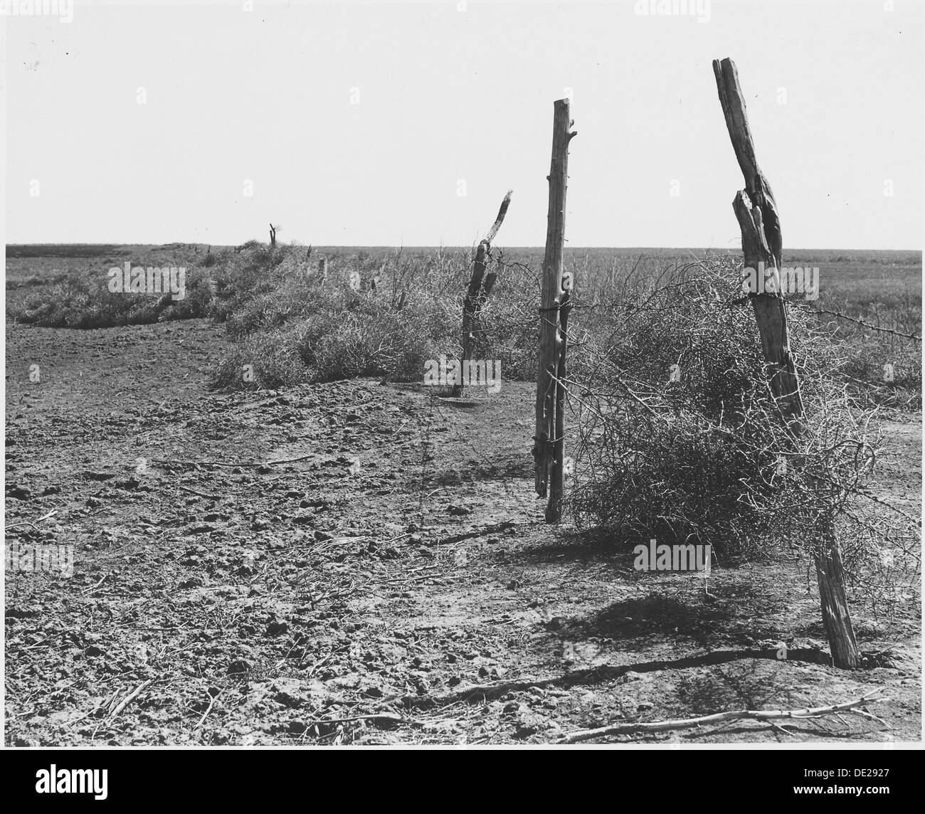 Tumbleweeds historic Black and White Stock Photos & Images - Alamy
