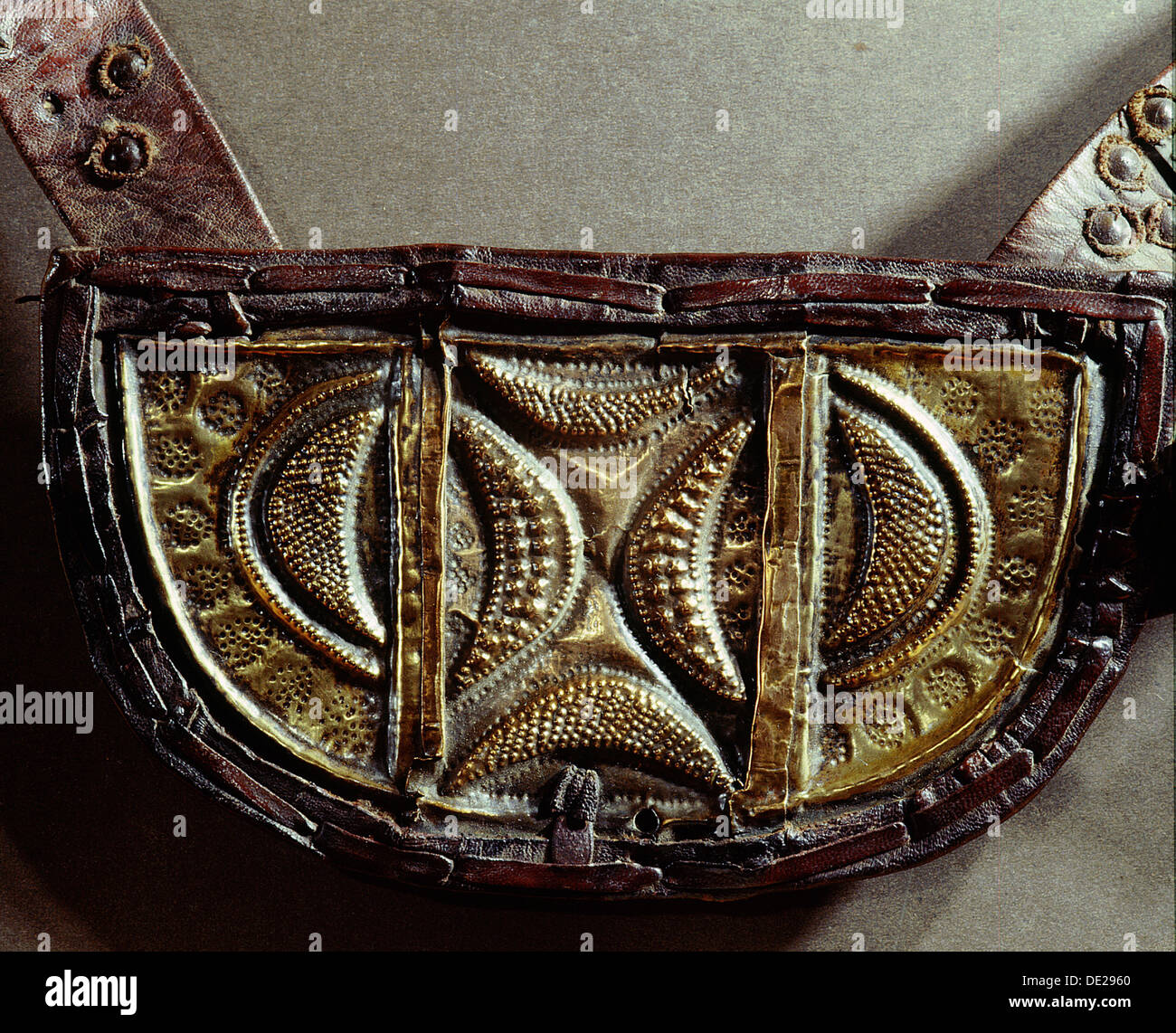 A horse harness hi-res stock photography and images - Alamy