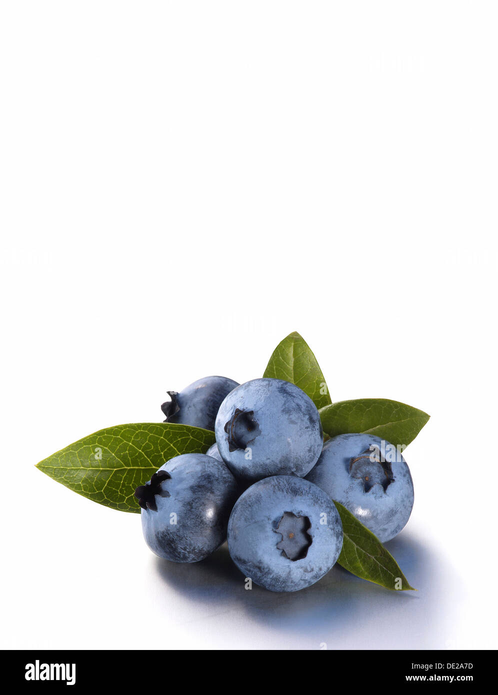 Blueberries cut out hi-res stock photography and images - Alamy