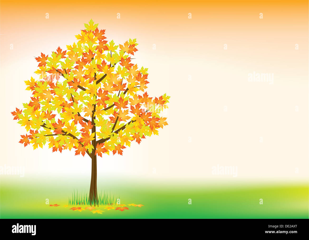 Vector illustration of autumn maple Stock Photo - Alamy