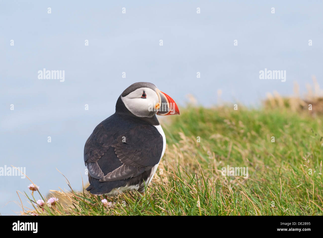 Border line of iceland hi-res stock photography and images - Alamy