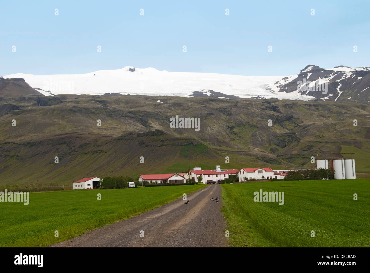 Farm mountains iceland agriculture hi-res stock photography and images ...