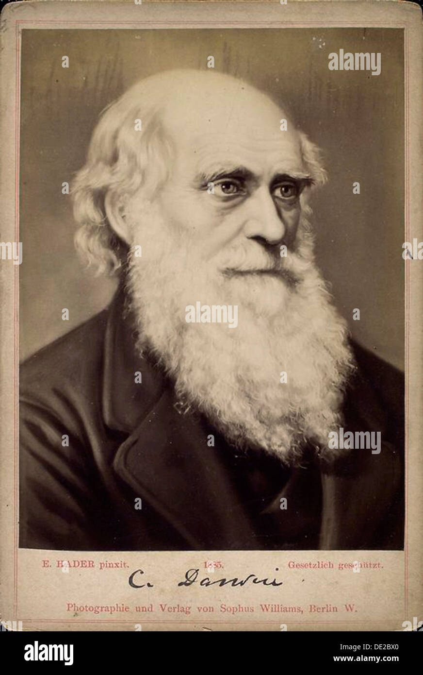 Evolution of man darwin hi-res stock photography and images - Alamy