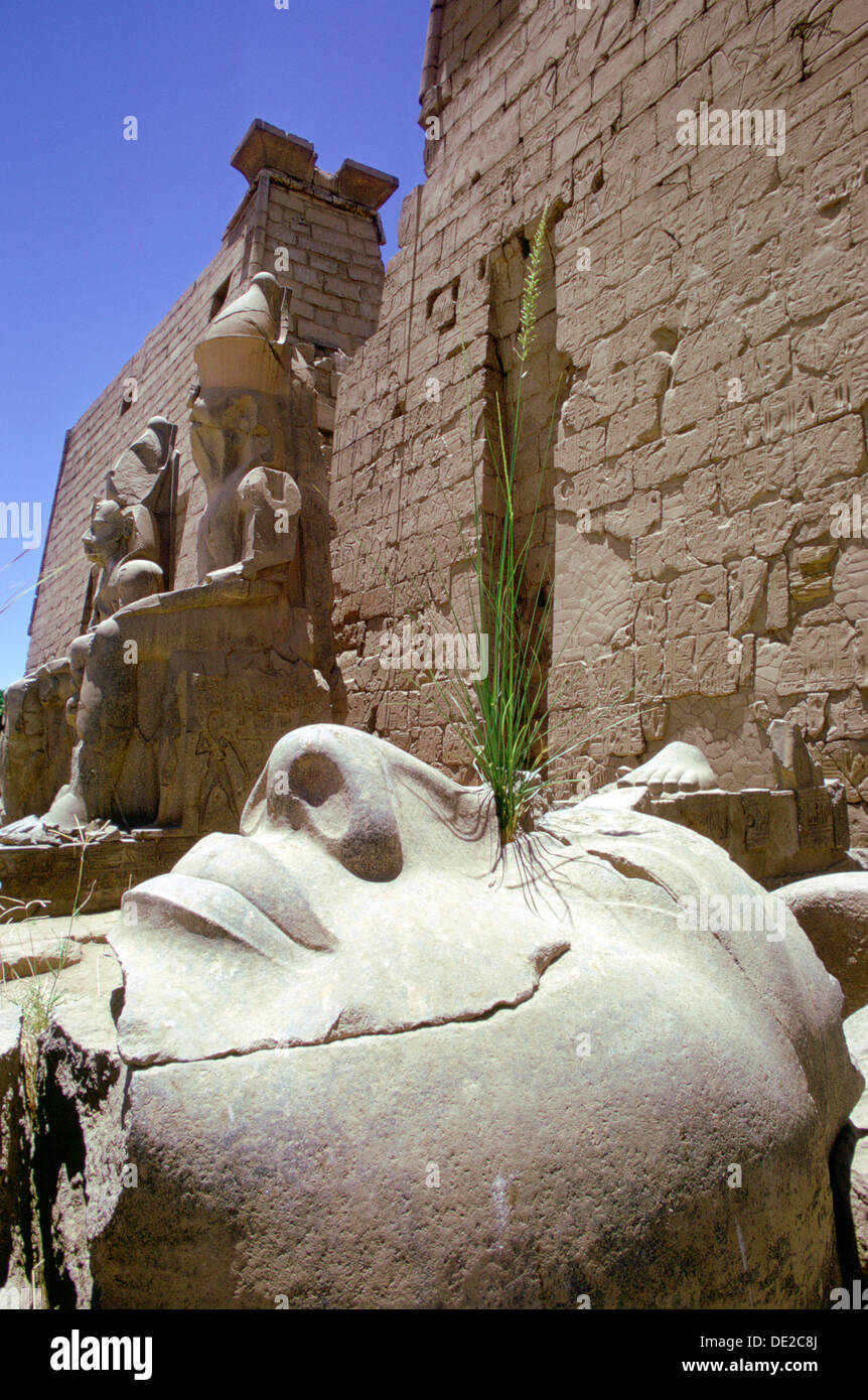 Fallen head from a colossal statue, Luxor, Egypt. Artist: Tony Evans ...