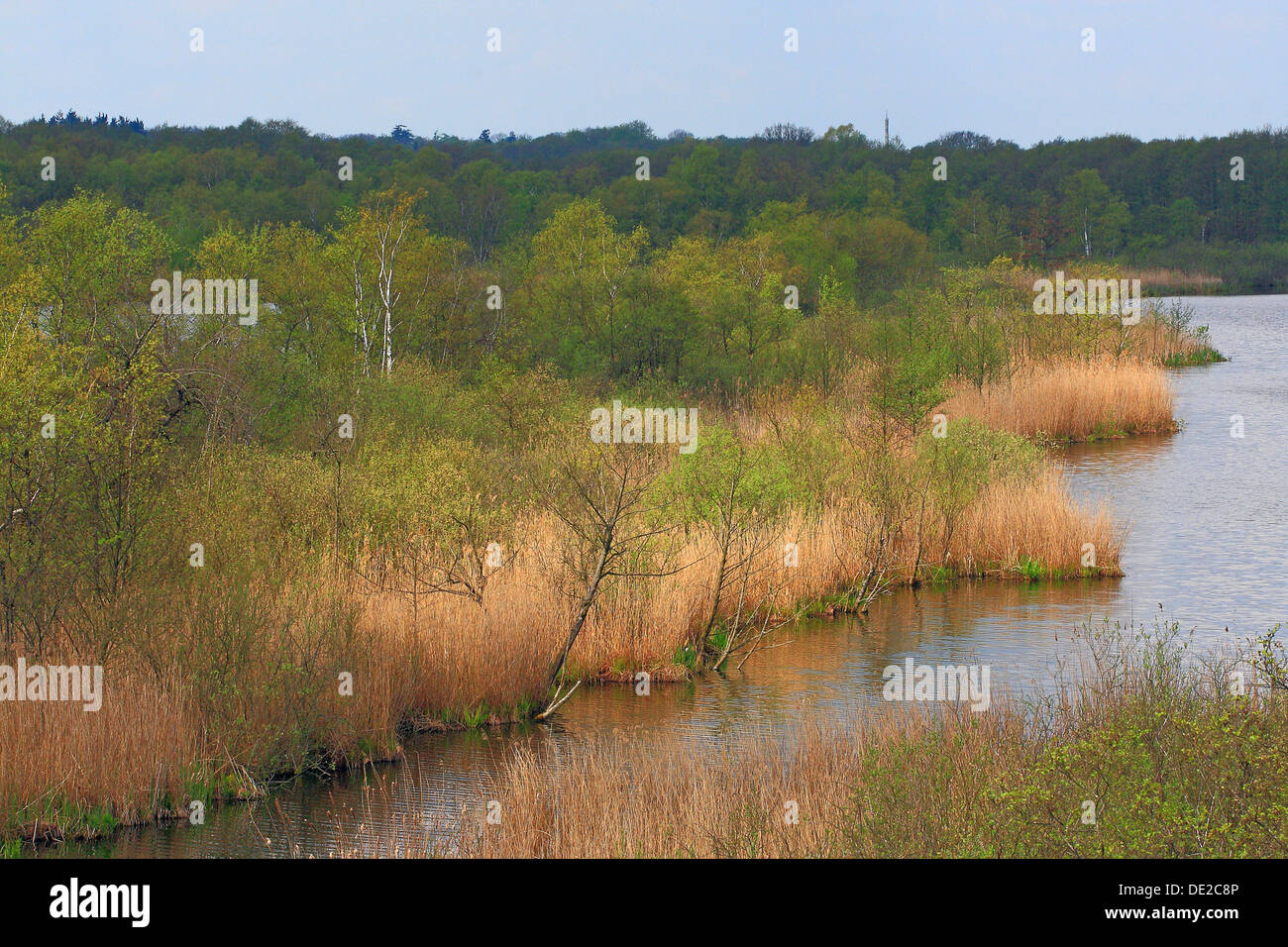 Natural conservation areas hi-res stock photography and images - Alamy