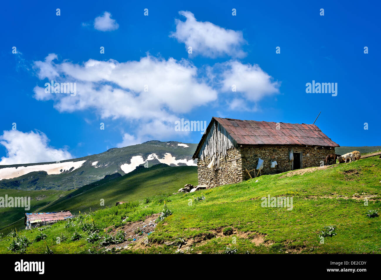 Landscape in Macedonia: mountains, forests, meadows and a farm Stock ...