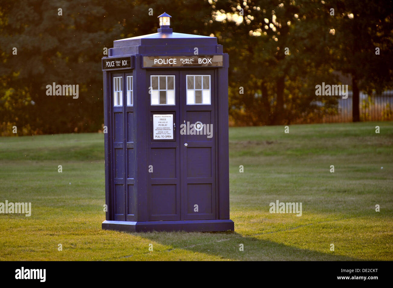 Dw Tardis