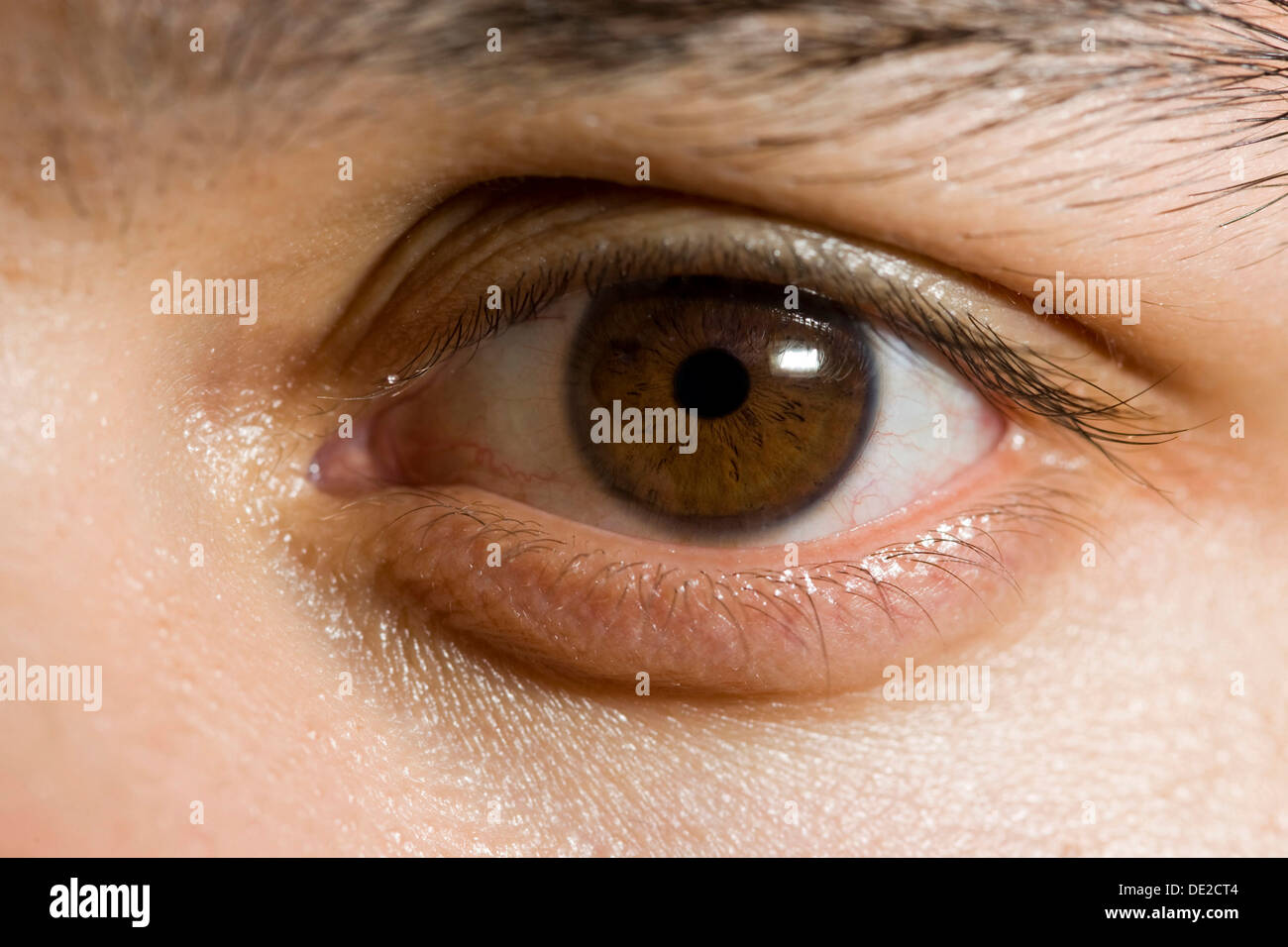 Human close up eye hi-res stock photography and images - Alamy