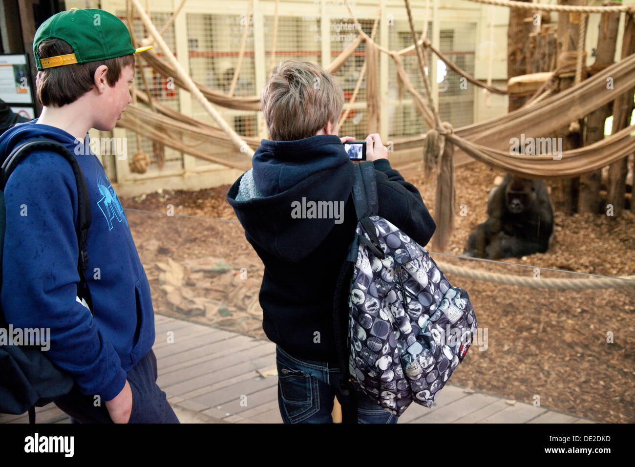 Animals London Zoo Regents Park High Resolution Stock Photography and ...