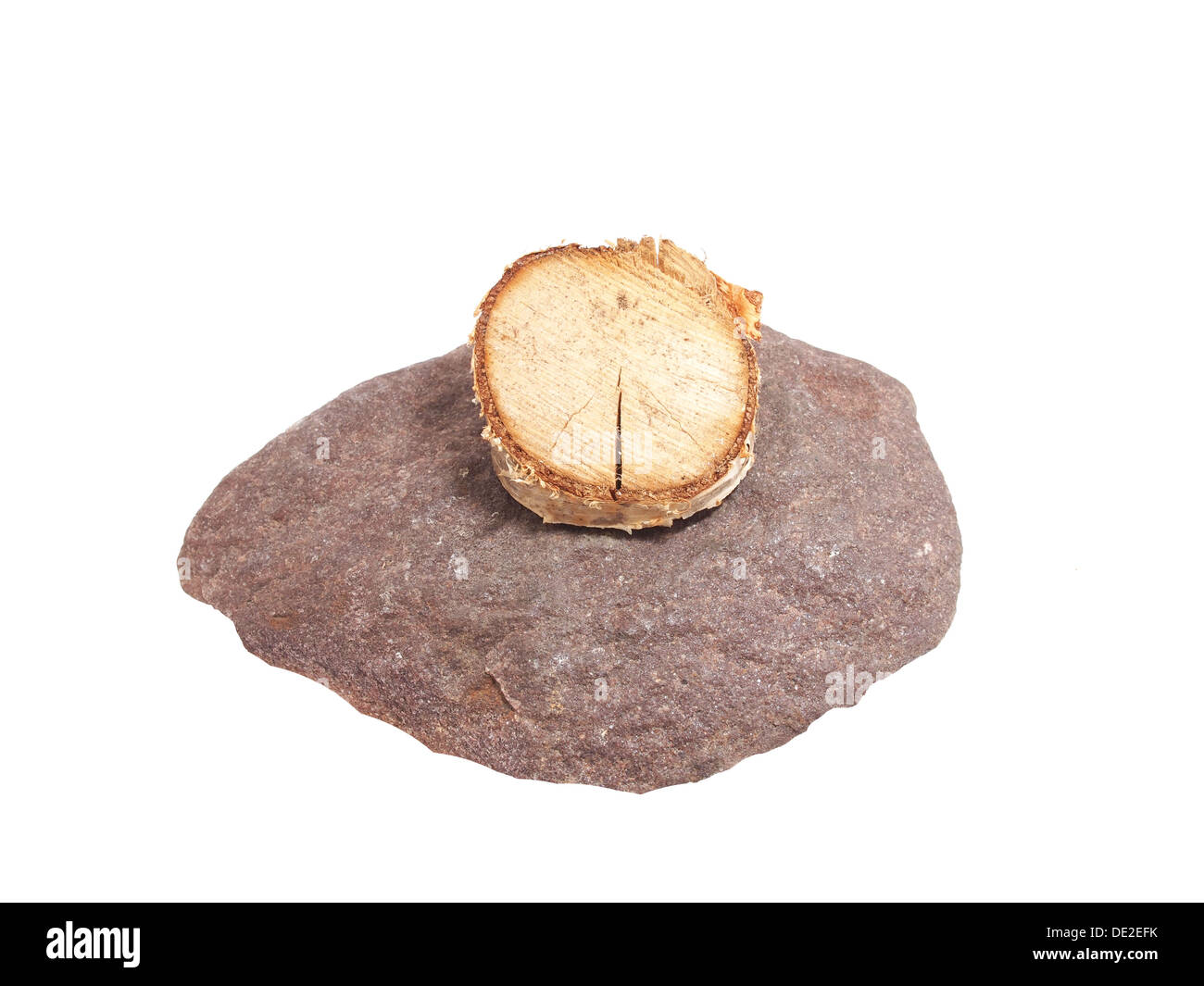 Birch log and stone on a white background Stock Photo - Alamy