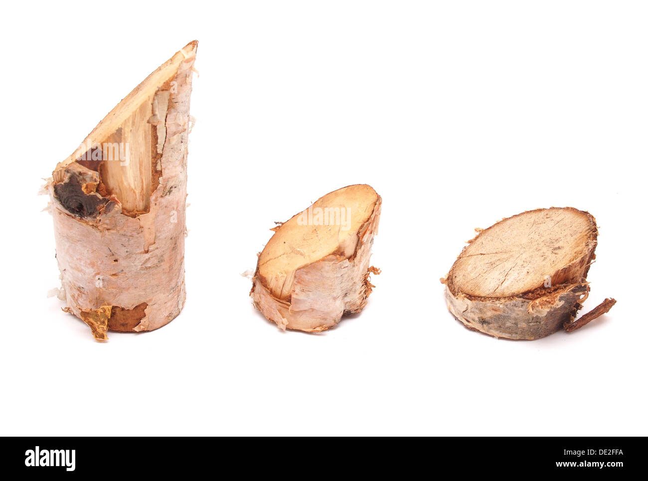 Dead birch tree Cut Out Stock Images & Pictures - Alamy