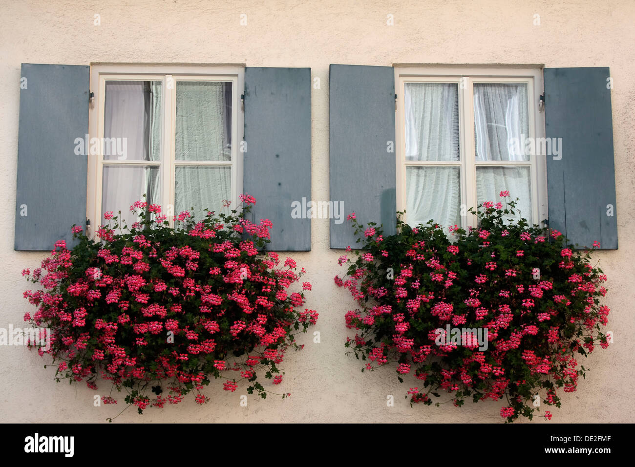 Windows with flower boxes Stock Photo - Alamy