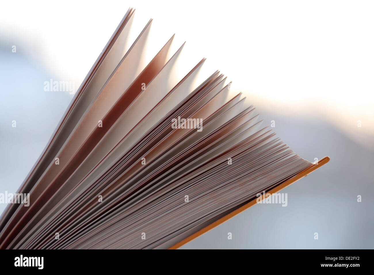Pages of a book Stock Photo - Alamy